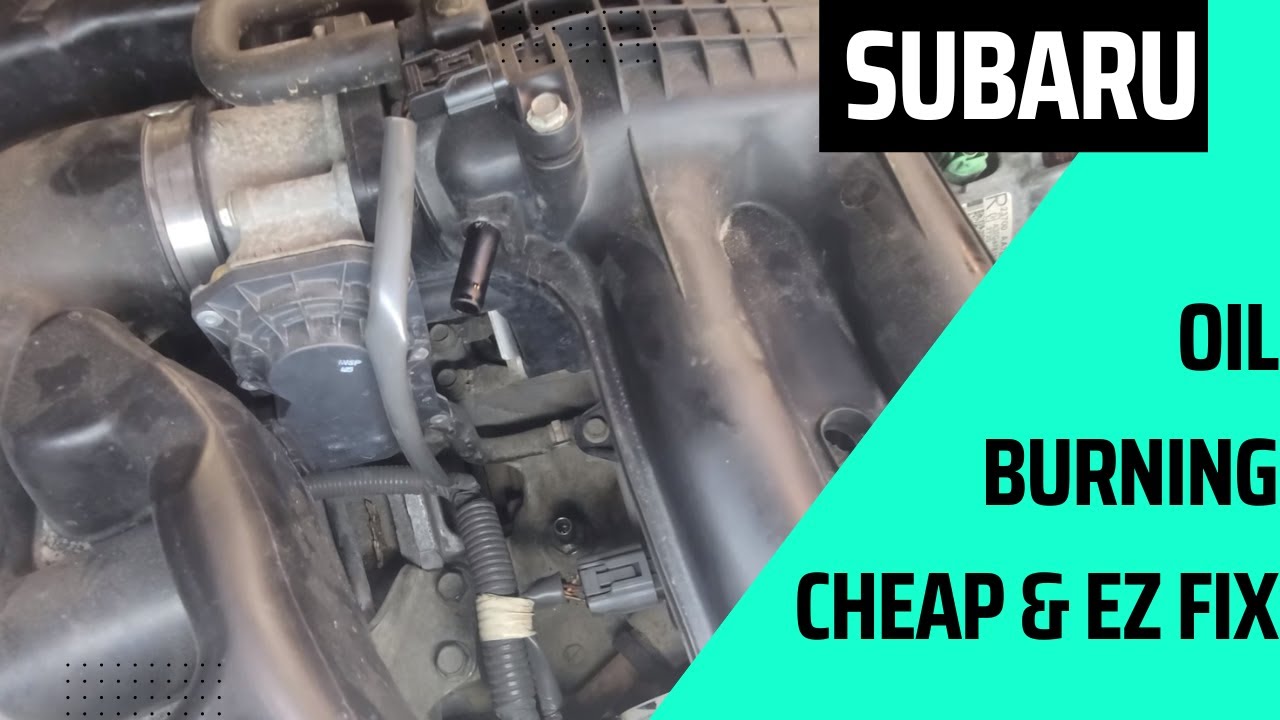 Changing a PCV on a Subaru Outback 2.5 Engine In Real Time - YouTube