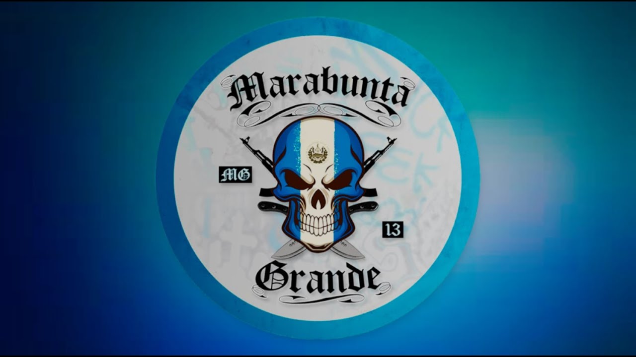 [GTALITE] Best OF Mara #1 | La nouvelle team mara - YouTube