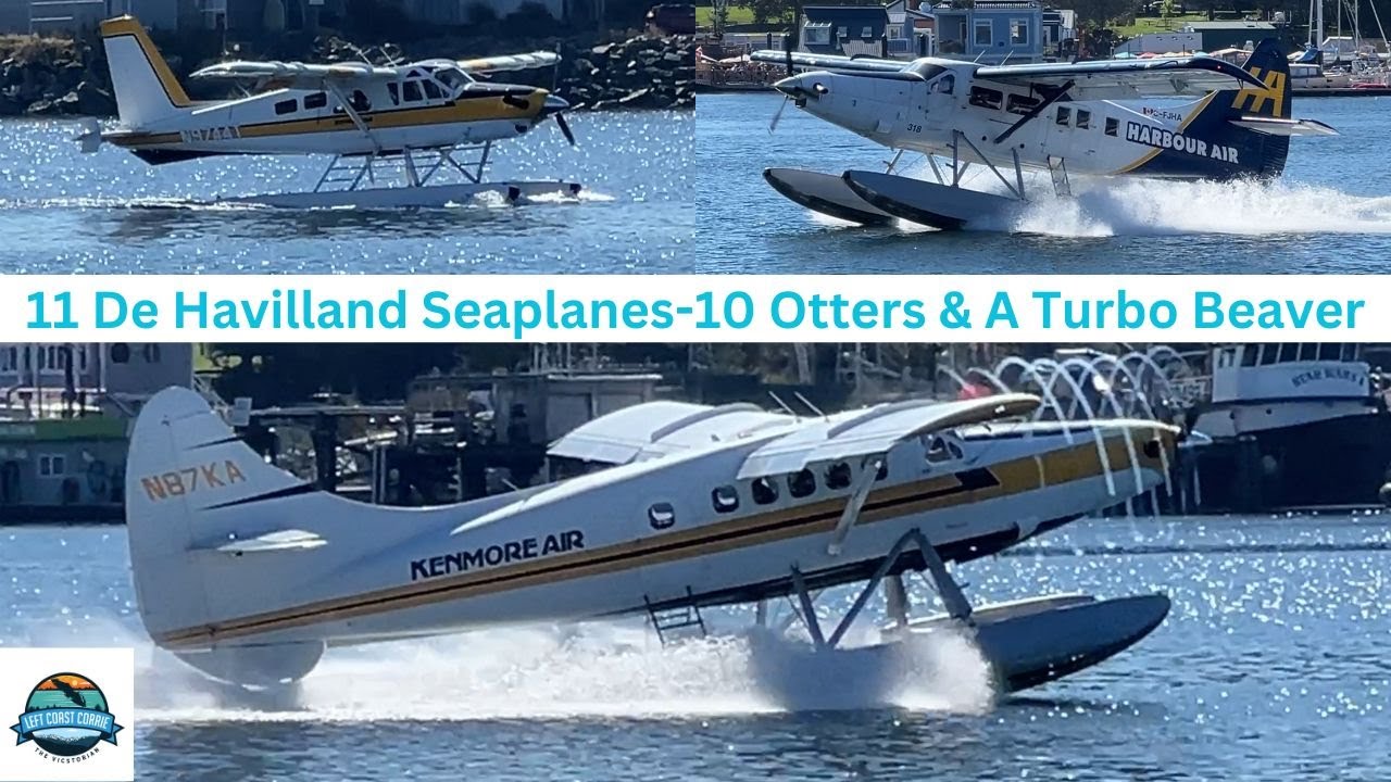 11 Otterly Exciting Seaplanes: A Showcase of De Havilland Classics ...