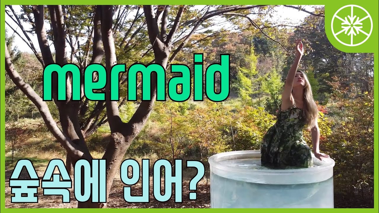 skott _ mermaid COVER / 수중인간 X 바라보라 - YouTube