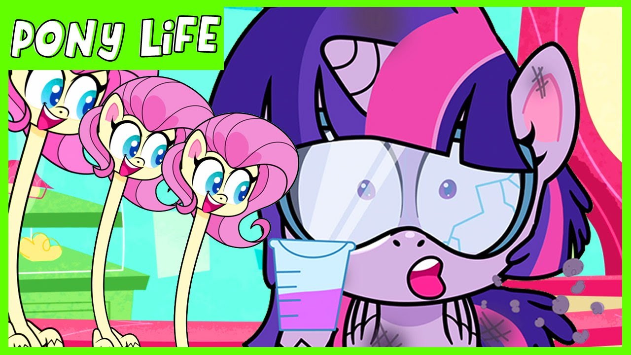 Pony Life | NEW | Pony Life Potion Mystery | MLP Pony Life - YouTube