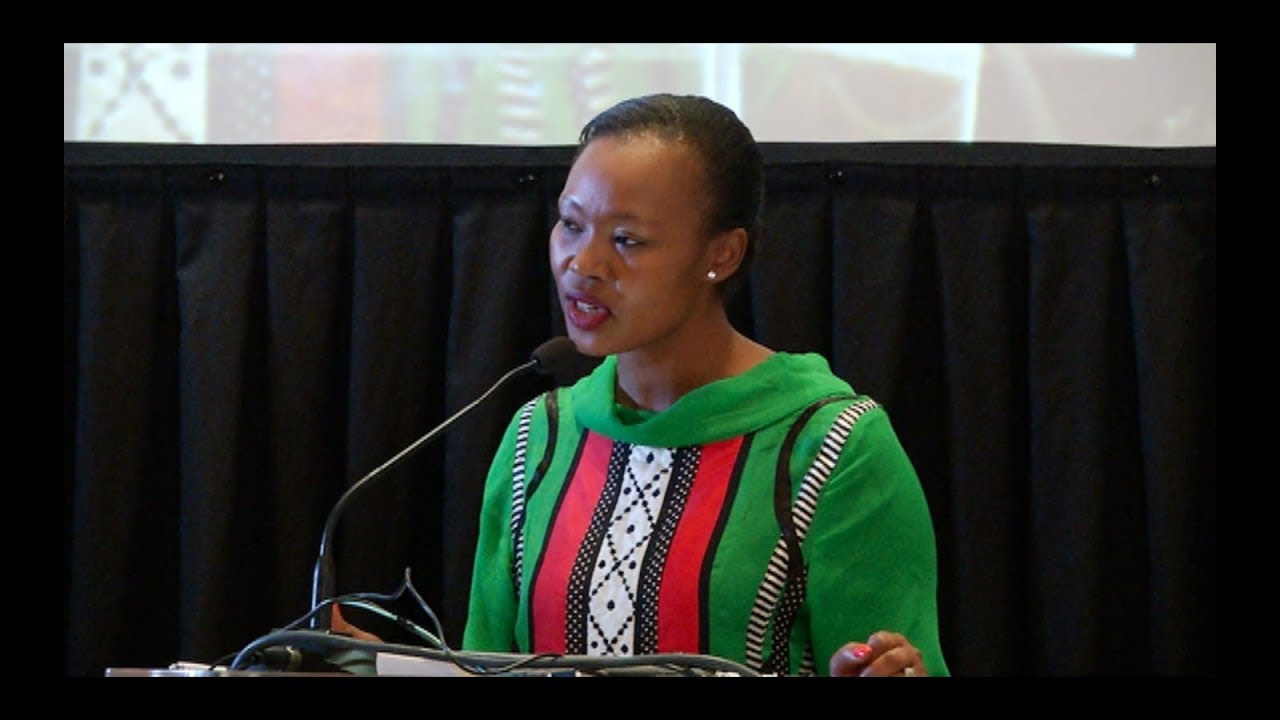 Deputy Minister Stella Ndabeni- Abrahams' remarks at the High Level ...