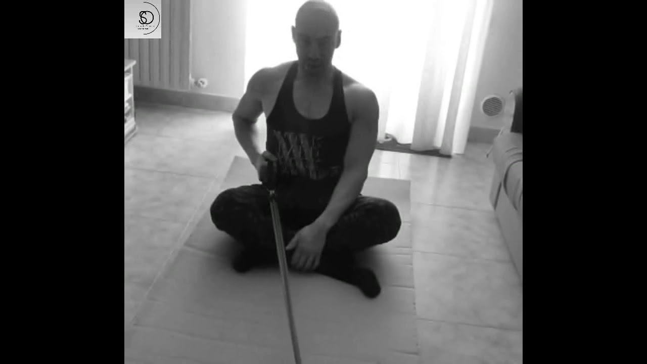 Pulley con elastici - YouTube