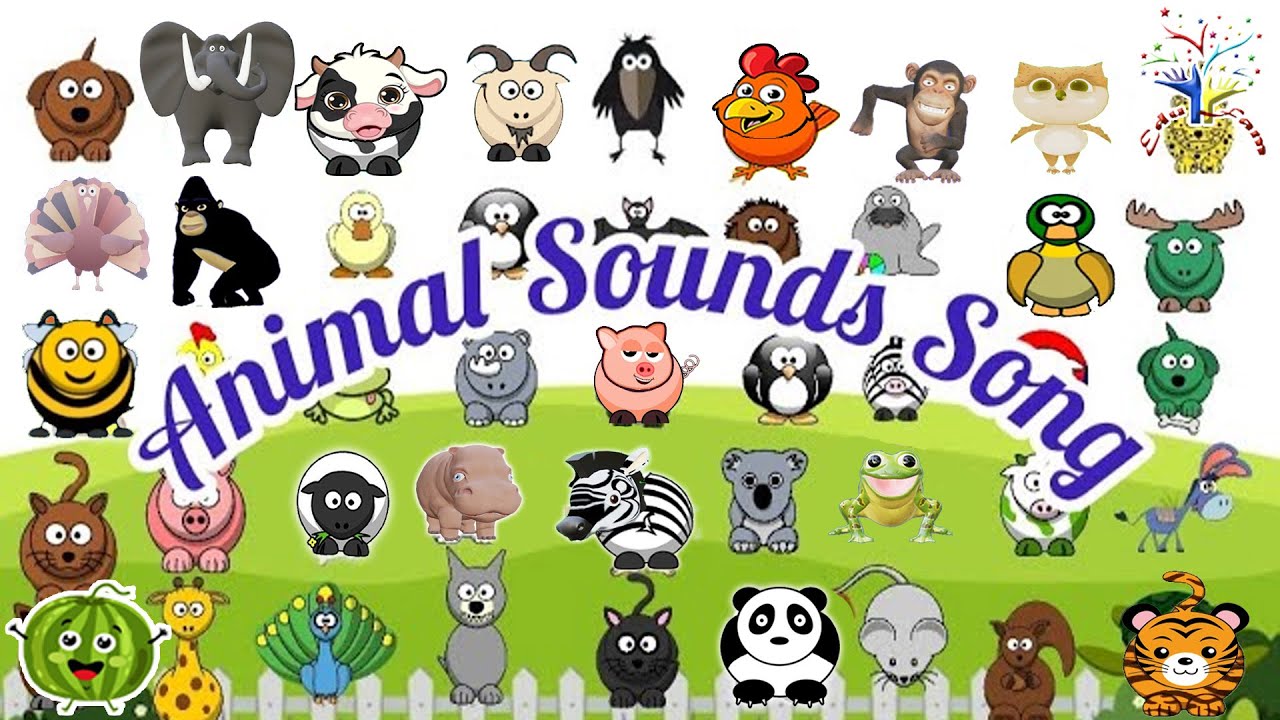 The Animal Sounds Song || Guess the Animals AG2AG5 || Animal song ...