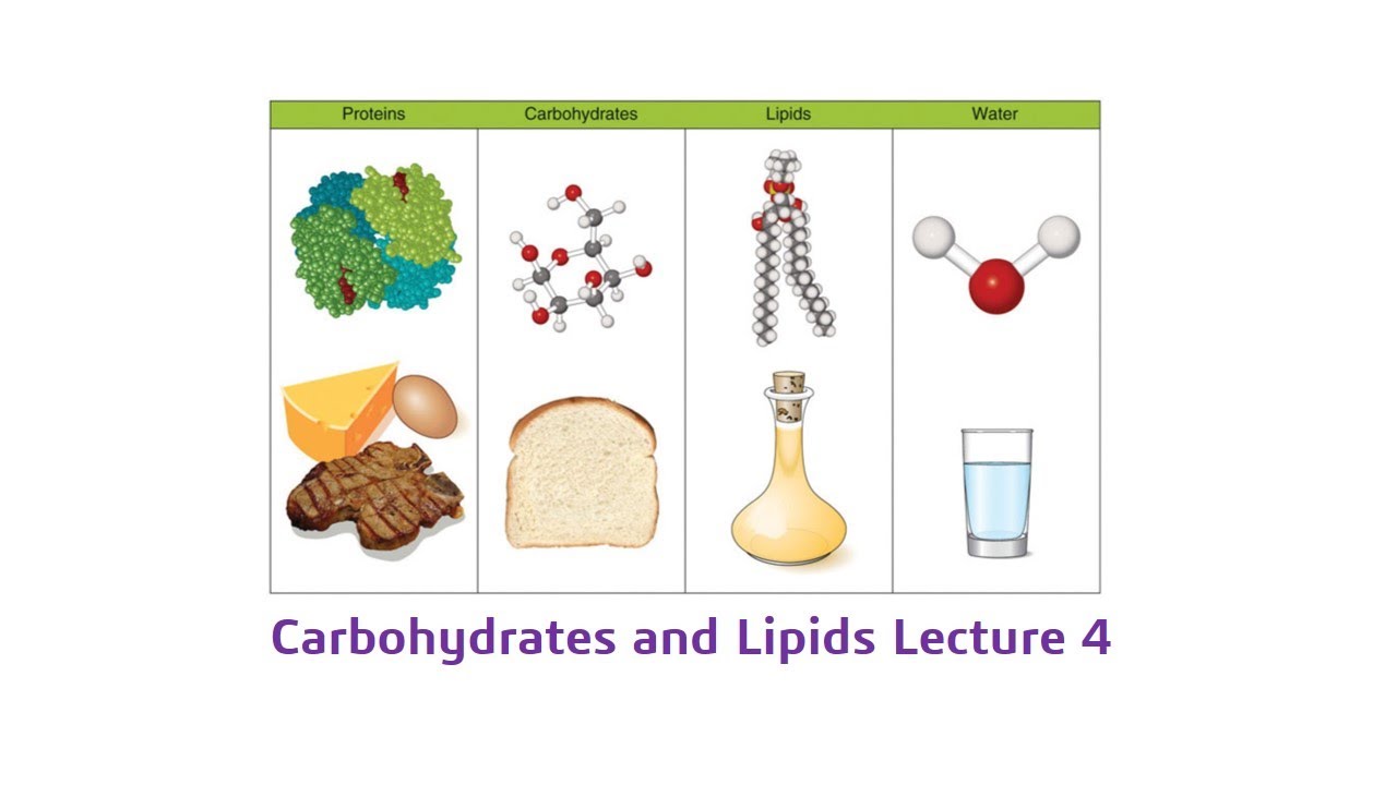 Carbohydrates Lecture 4: Linear and Cyclic forms of monosaccharides ...