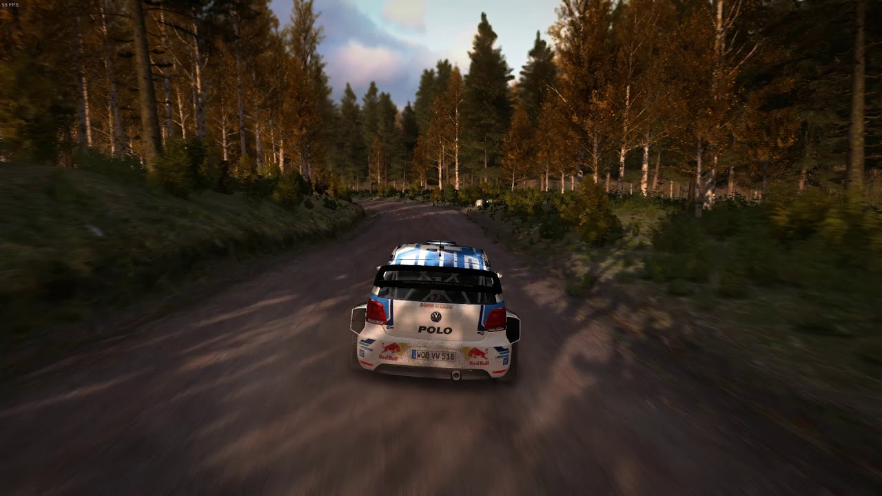 Dirt Rally - Volkswagen Polo R WRC - Rally FINLAND - Chase Camera - YouTube