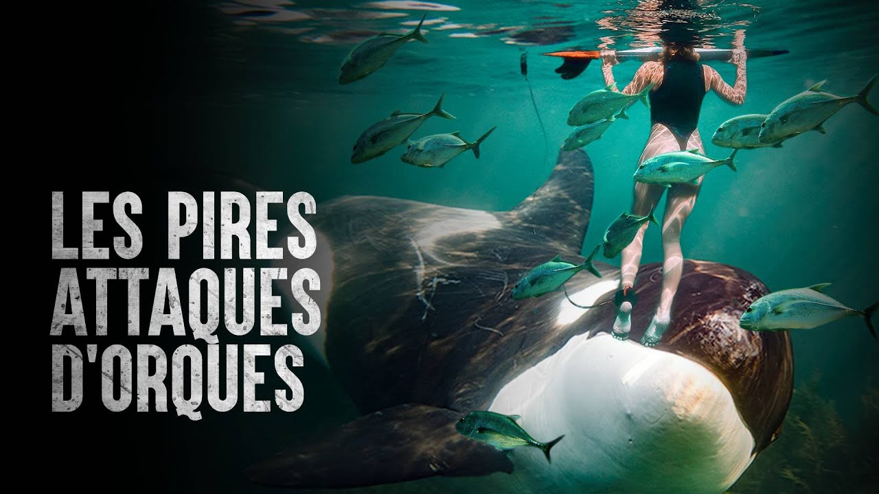 Comment survivre aux pires attaques d'orques - YouTube