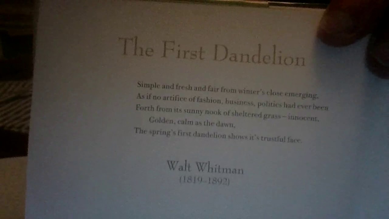 The First Dandelion by Walt Whitman - YouTube
