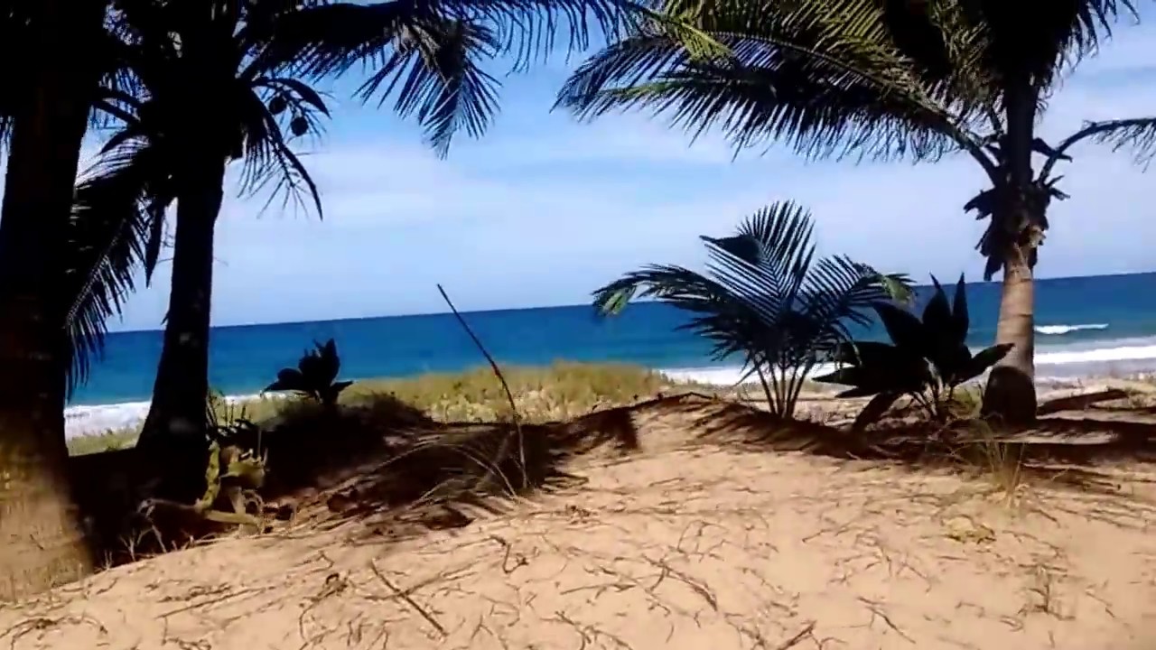 Hatillo, Puerto Rico - YouTube