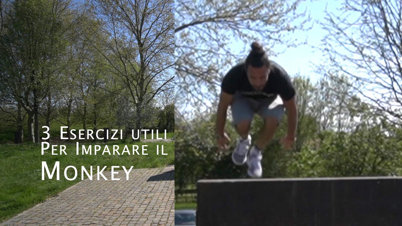 3 ESERCIZI UTILI PER: MONKEY [PARKOUR TUTORIAL] - YouTube