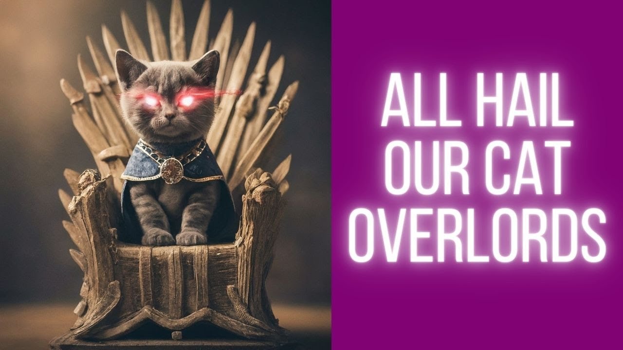 How Cats Conquered The World - YouTube
