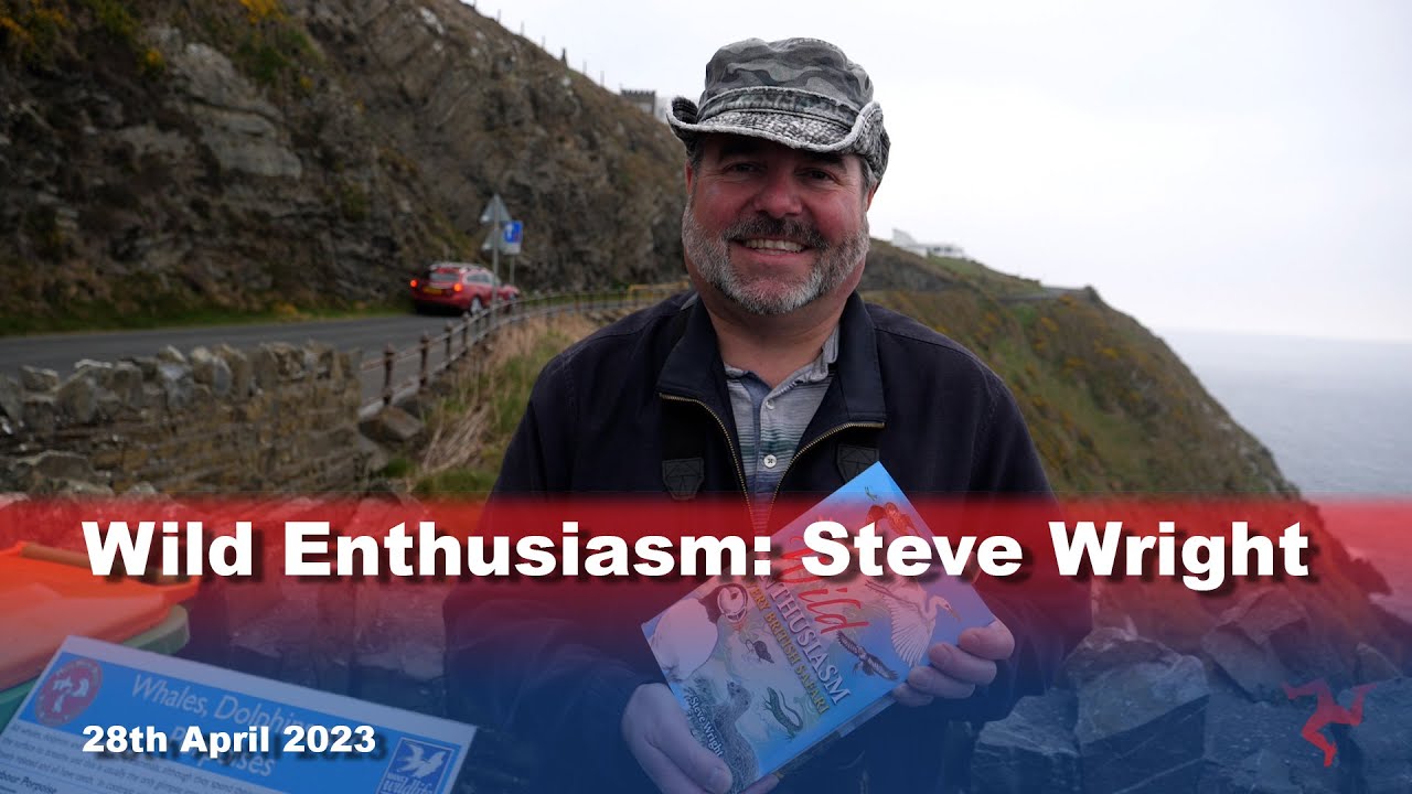 Wild Enthusiasm: Steve Wright - YouTube
