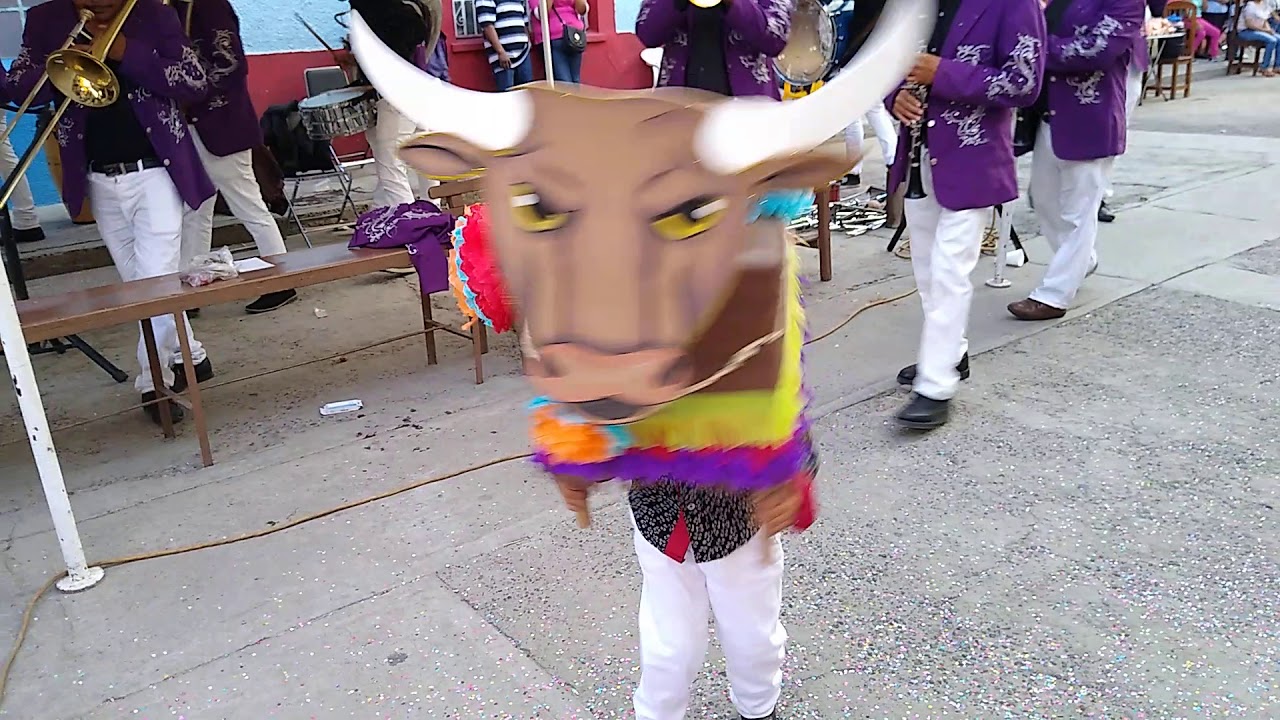 Toro pinto de Luis🥰 - YouTube