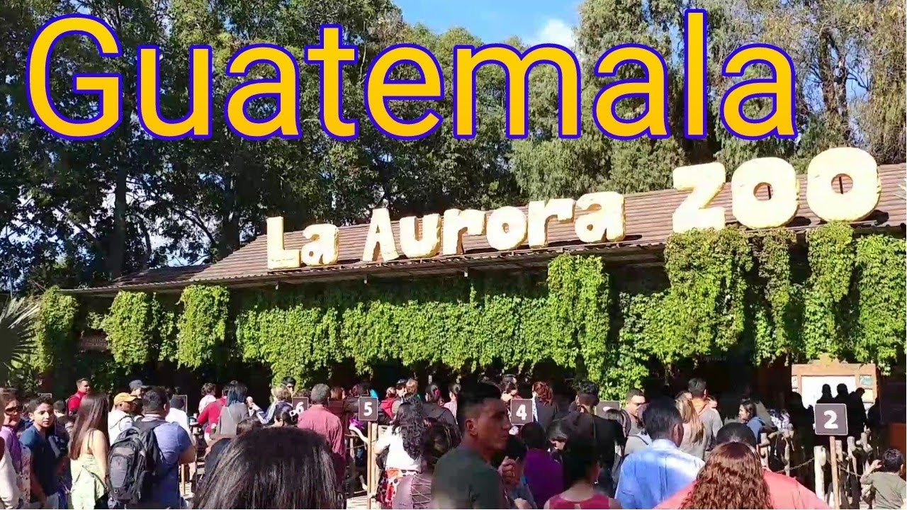 La Aurora Zoo,Guatemala visitando el país hermano - YouTube