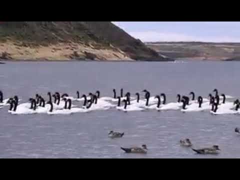 Parto en belleza de la naturaleza