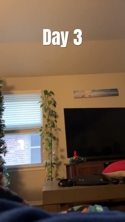 Day 3 #funny #loop #satisfyingloop #endlessloop #perfectloop #fypシ゚viral #gorillatag - YouTube