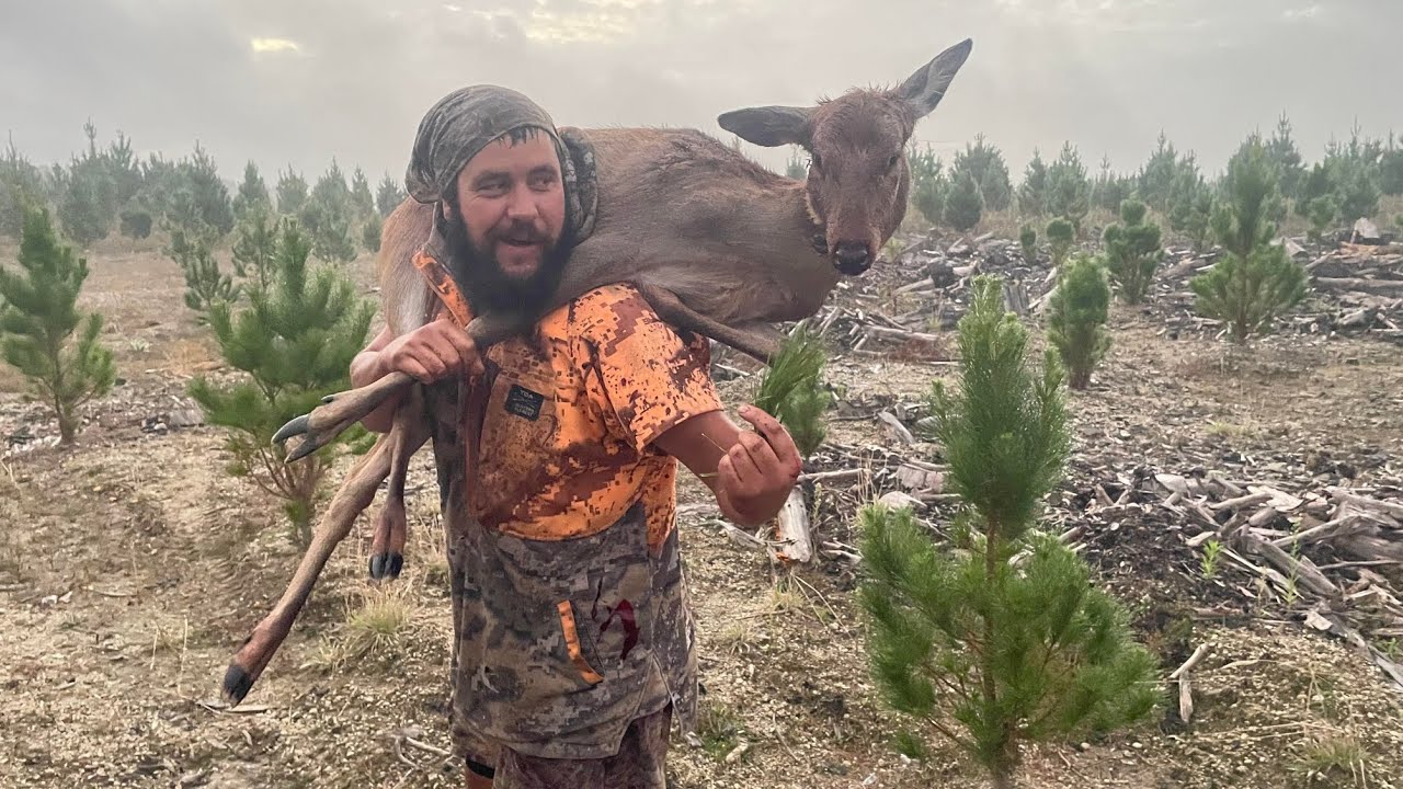 roar 2023, National park #2, a dry fire a 10 point red and acouple ...