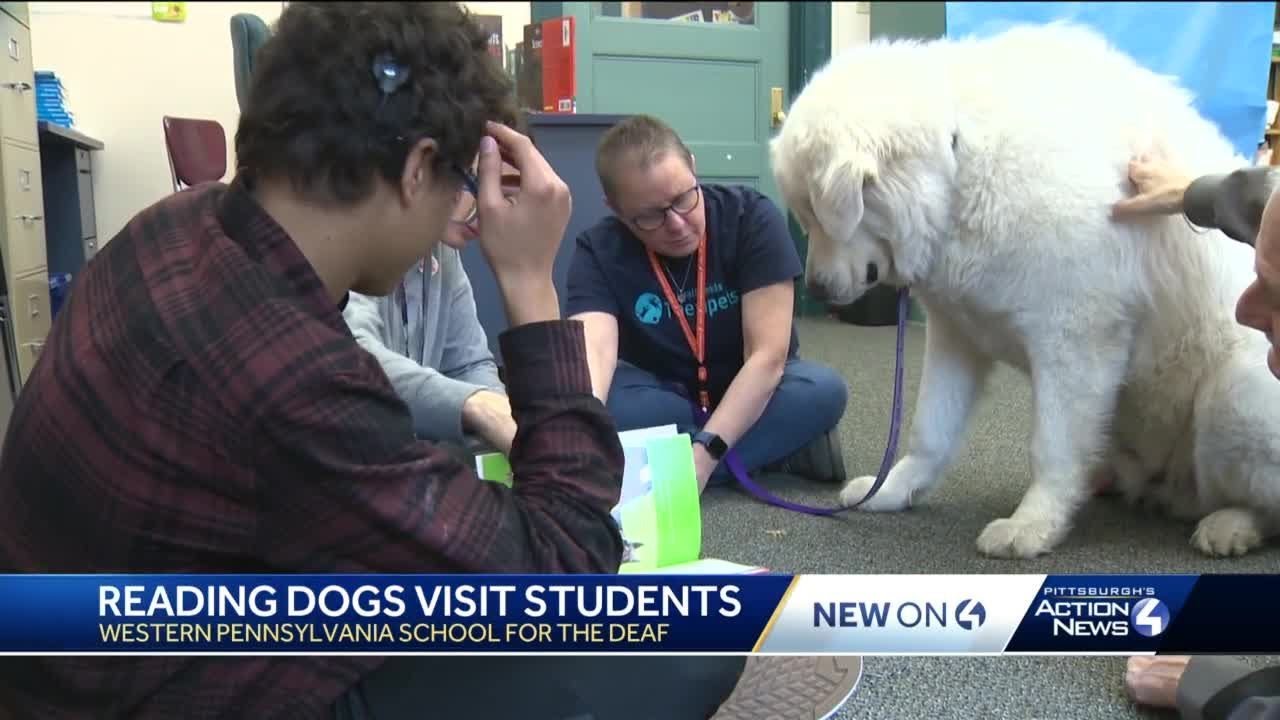 Reading dogs visit Western Pennsylvania School for the Deaf students ...
