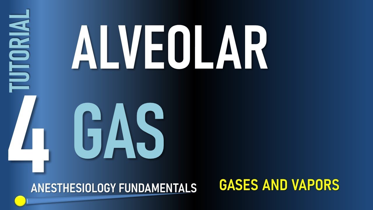 Alveolar Gas and the Alveolar Gas Equation and the PaO2/FiO2 Ratio ...