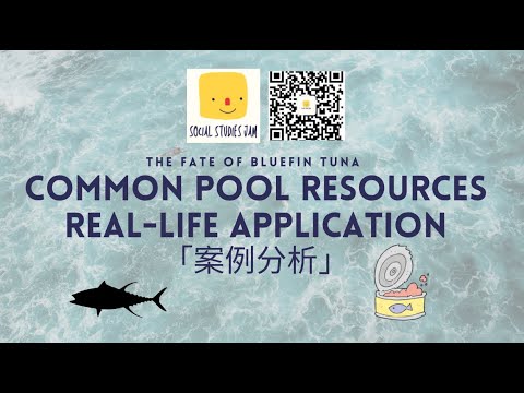 IB Economics 5.1/ Case Study: Common Pool Resources - YouTube