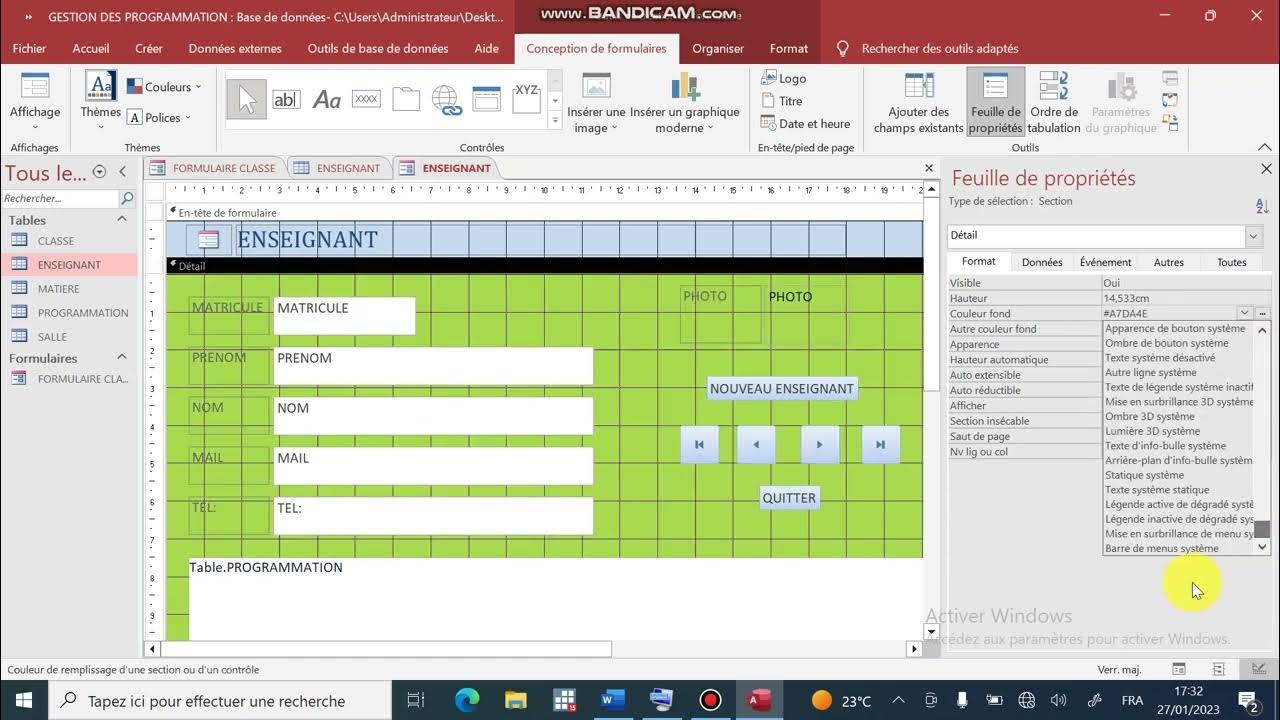 3 MISE EN FORME FORMULAIRE ACCESS - YouTube
