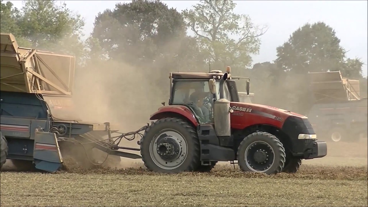 CASEIH MAGNUM 250, JOHN DEERE 8245R, AND 8300 COMBINING PEANUTS. DAVIS ...