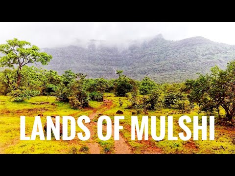 46 Acres land sold b@mulshiproperties6349  at Mulshi taluka near Tamhini ghat