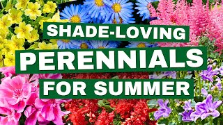 Long Blooming Shade Perennials