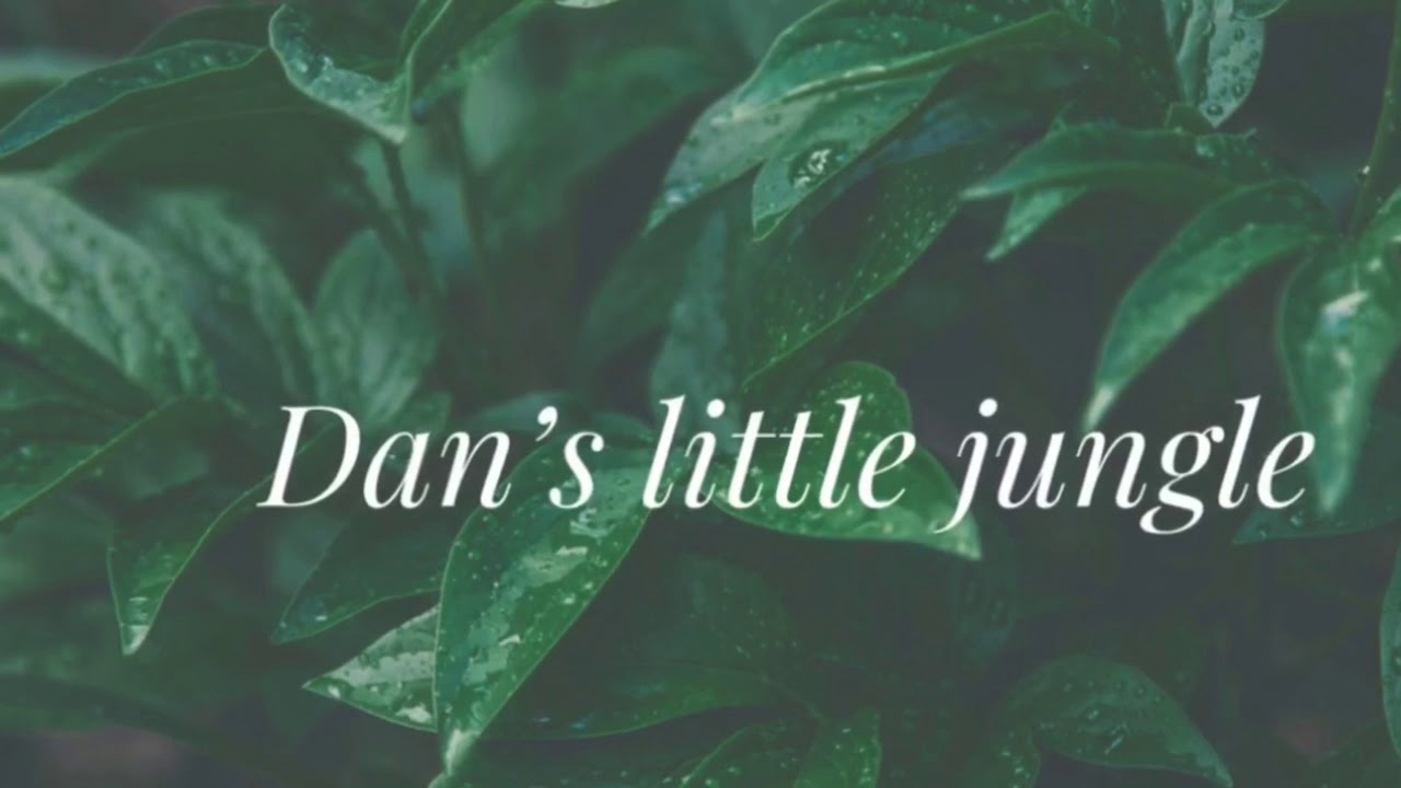 Bio Active isopod and springtail terrarium build DIY - YouTube