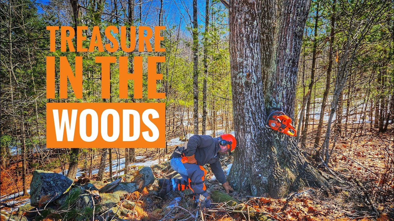 Gathering Ash Firewood - The Good Stuff - YouTube