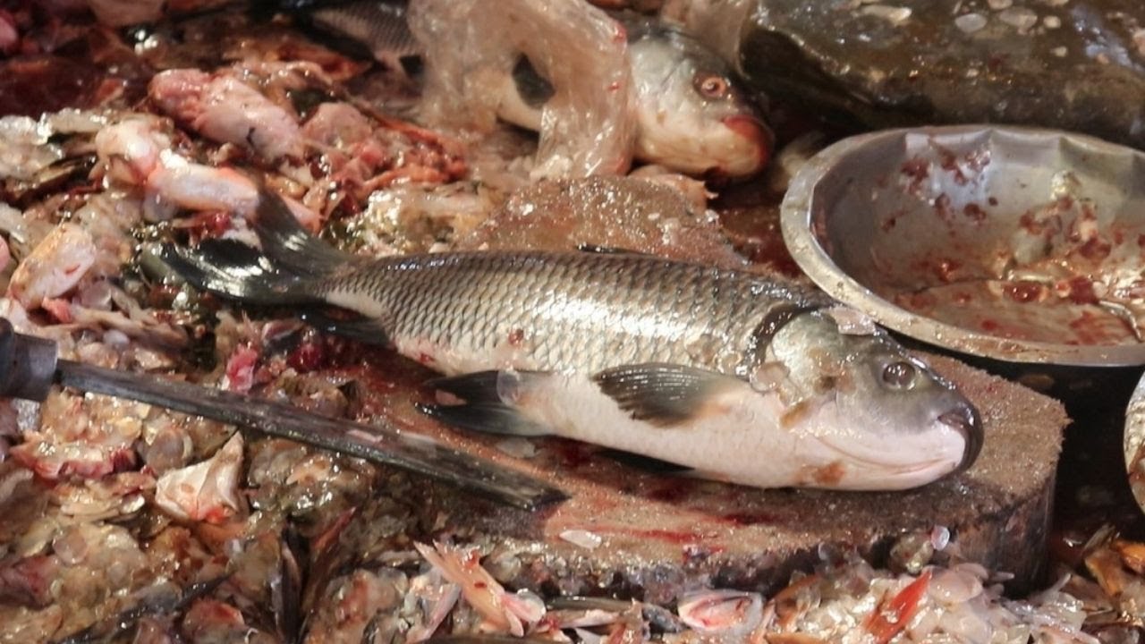 Amazing Huge Katla Fish Cutting Skills | Bhakur Fish | Natural Fish ...