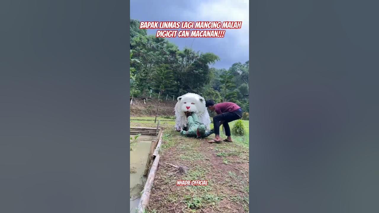 Linmas Lagi Asik Mancing Malah Digigit Can Macanan!!! #canmacanan #lucu #pranks #shorts - YouTube
