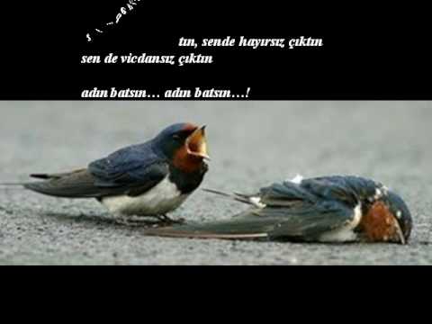 Ibrahim Sadri-Adin Batsin