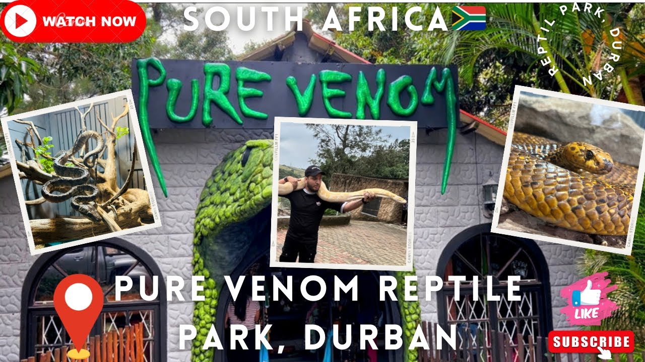 Pure Venom Reptile Park 🐍 🐊🐢, Durban| Best Place to visit in South ...