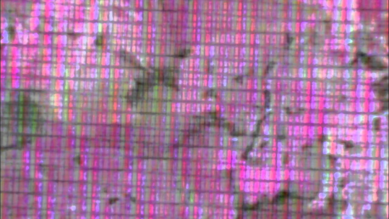 Shimble - Why Would Who - YouTube