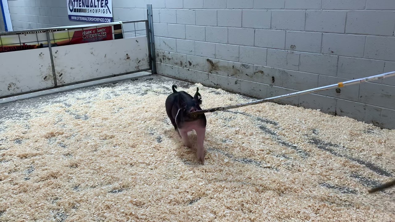 Lot 36 Cross Barrow - YouTube