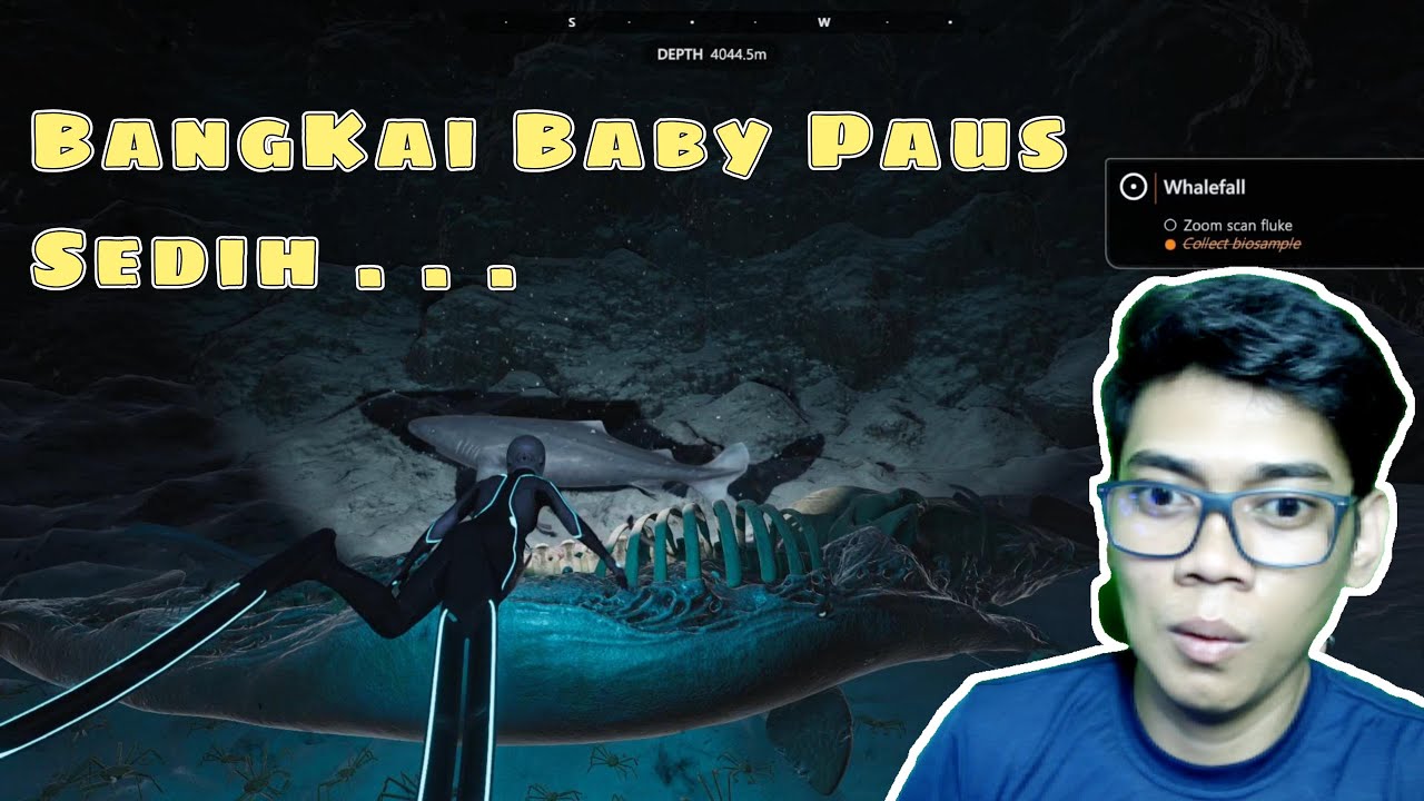 Menambang di Kedalaman 4000m dan Kejutan Bangkai Ikan Bayi Paus Suasana ...