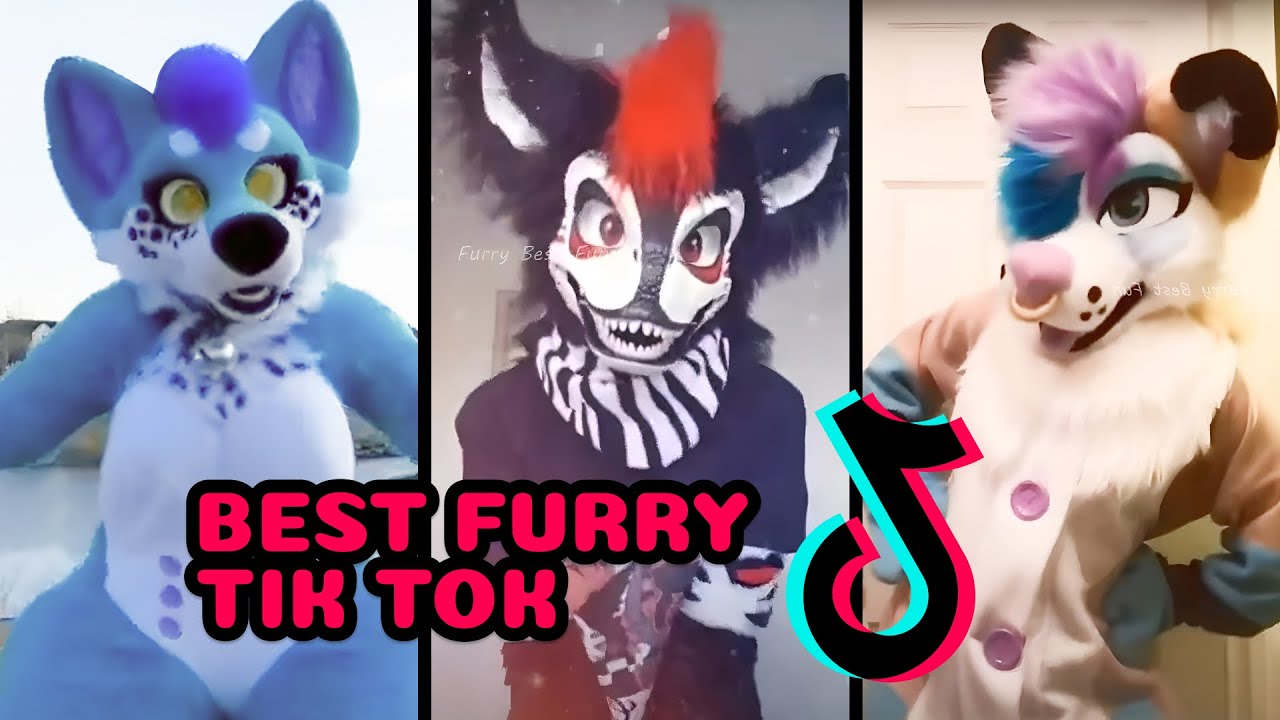 Best Furry TikToks 🐯 Fursuit TikToks Compilation [ Ep 116 ] - YouTube