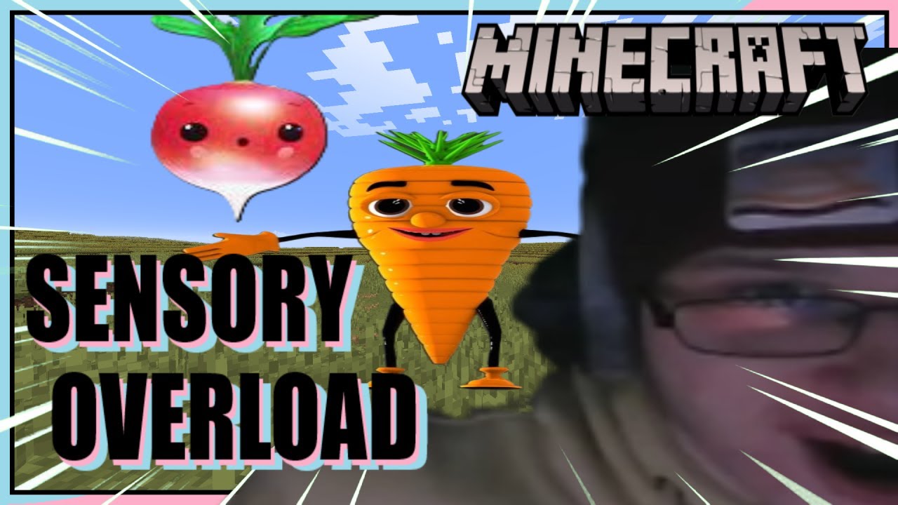 MINECRAFT SENSORY OVERLOAD! - _SMP - YouTube
