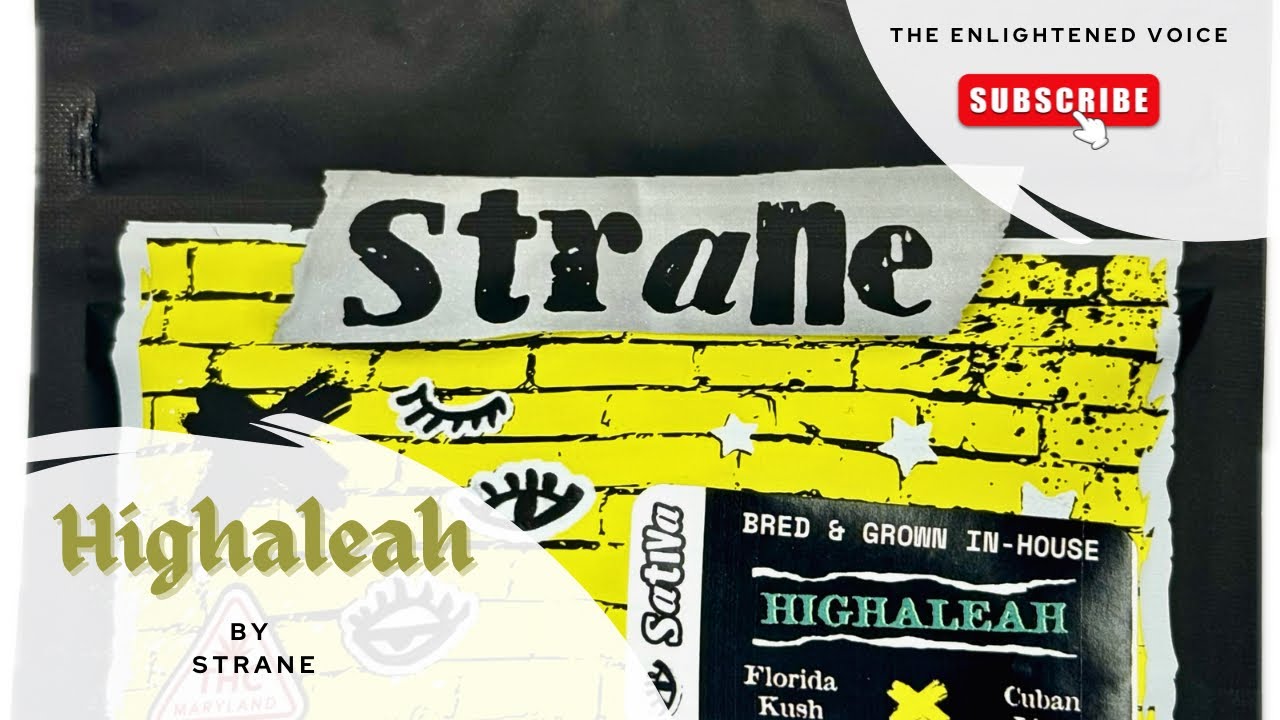 Highaleah Strain Review: Strane’s Premium In-House Bred Cannabis ...