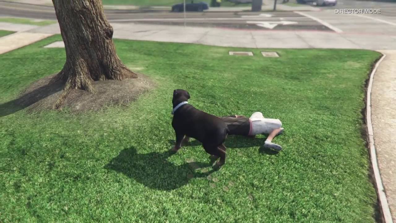 Dog attack! Playing as Chop on Grand Theft Auto V - YouTube