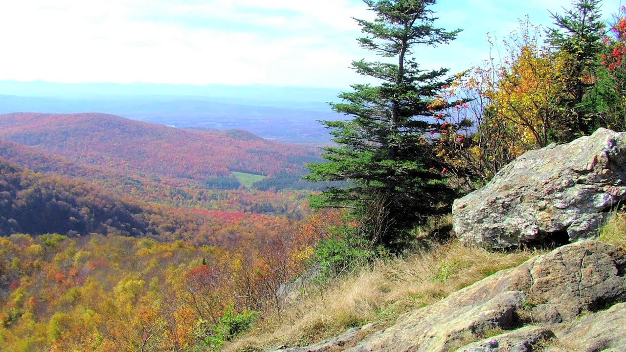 Glastenbury Wilderness - YouTube