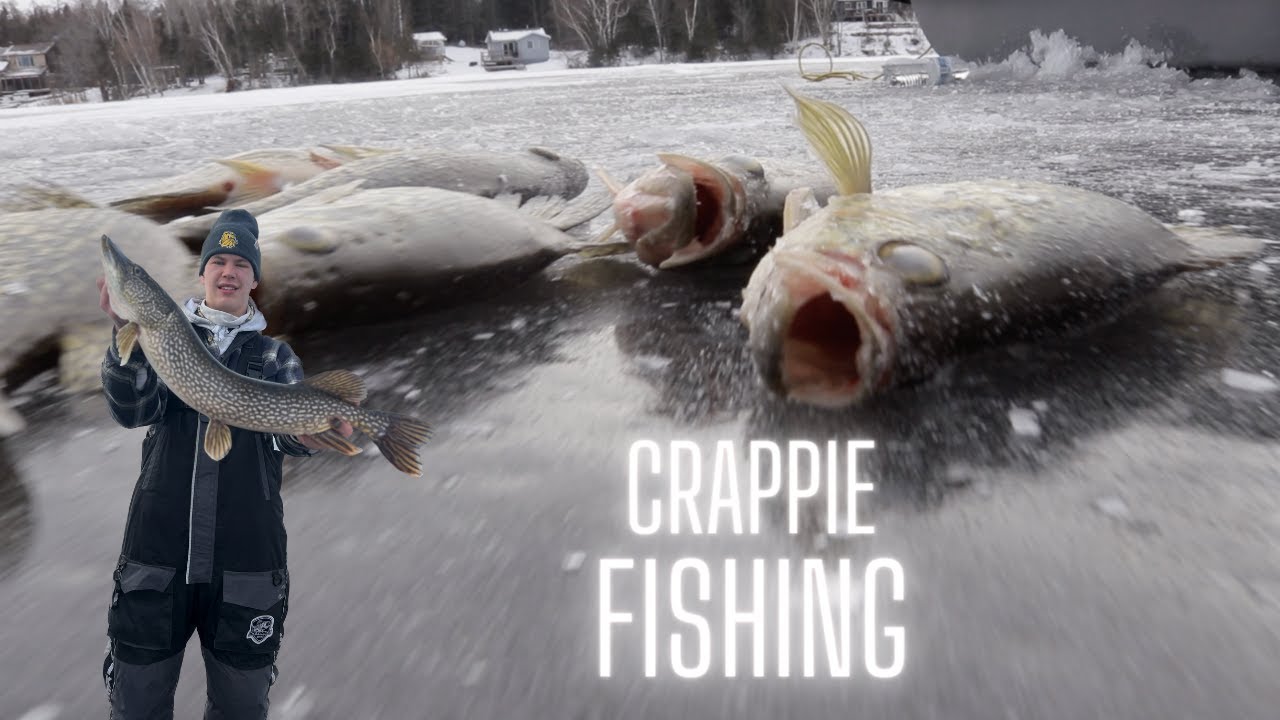 Minnesota Crappie Fishing -- (Surprise Catch!) - YouTube
