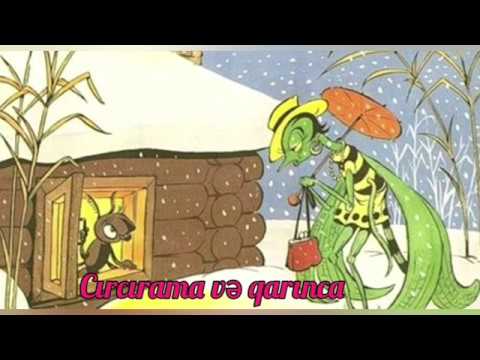 CIRCIRAMA VƏ QARIŞQA ( TƏMSİL)