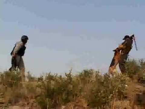 Tactical Dog Attack K-9 US K9 - YouTube