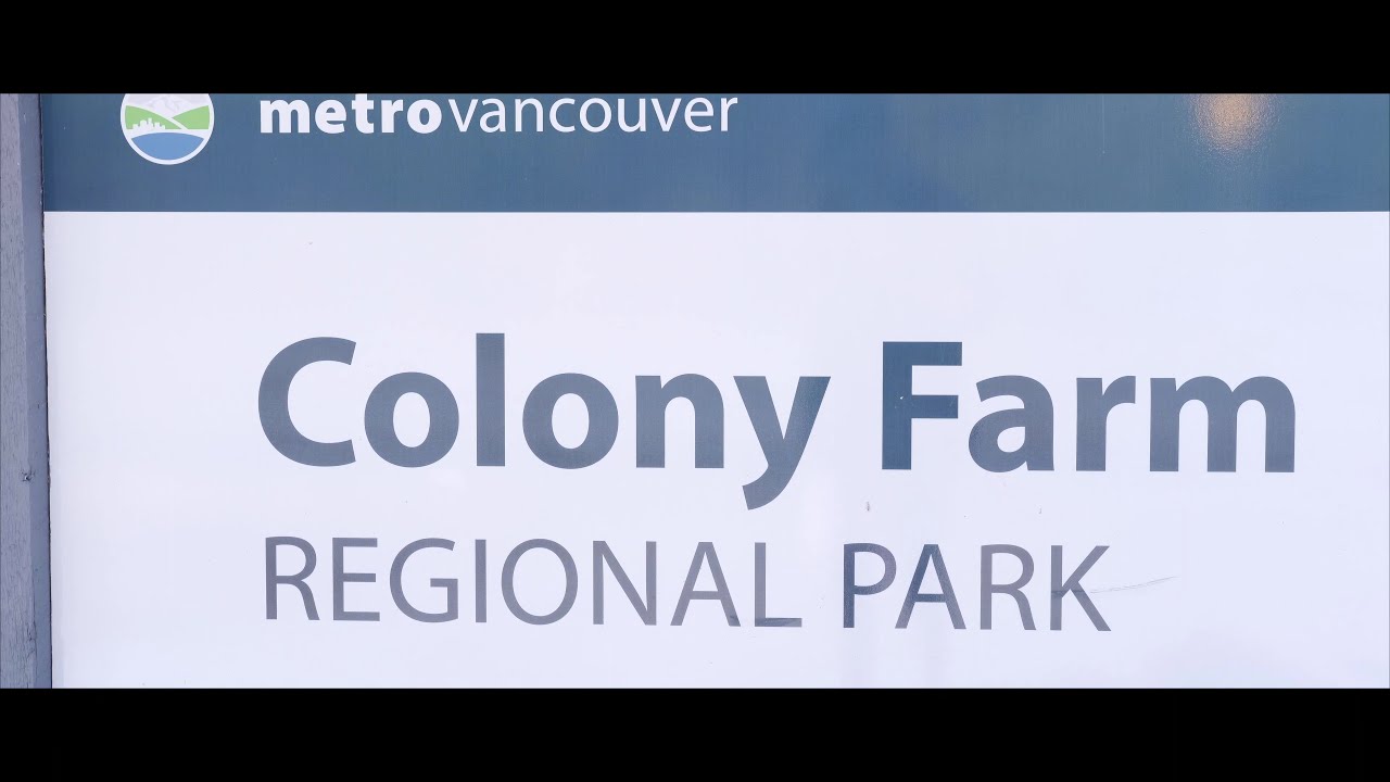 Coquitlam River Watershed Hidden Gems - Colony Farms - YouTube