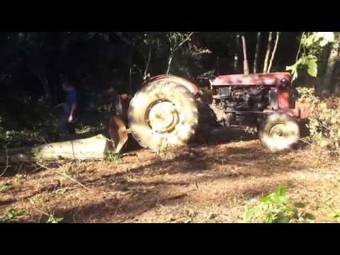 IMT 558 u Sumi 1 2015