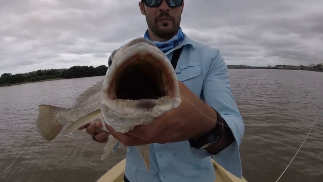 BIG KOB caught at Durban harbour - WR Fishing - YouTube