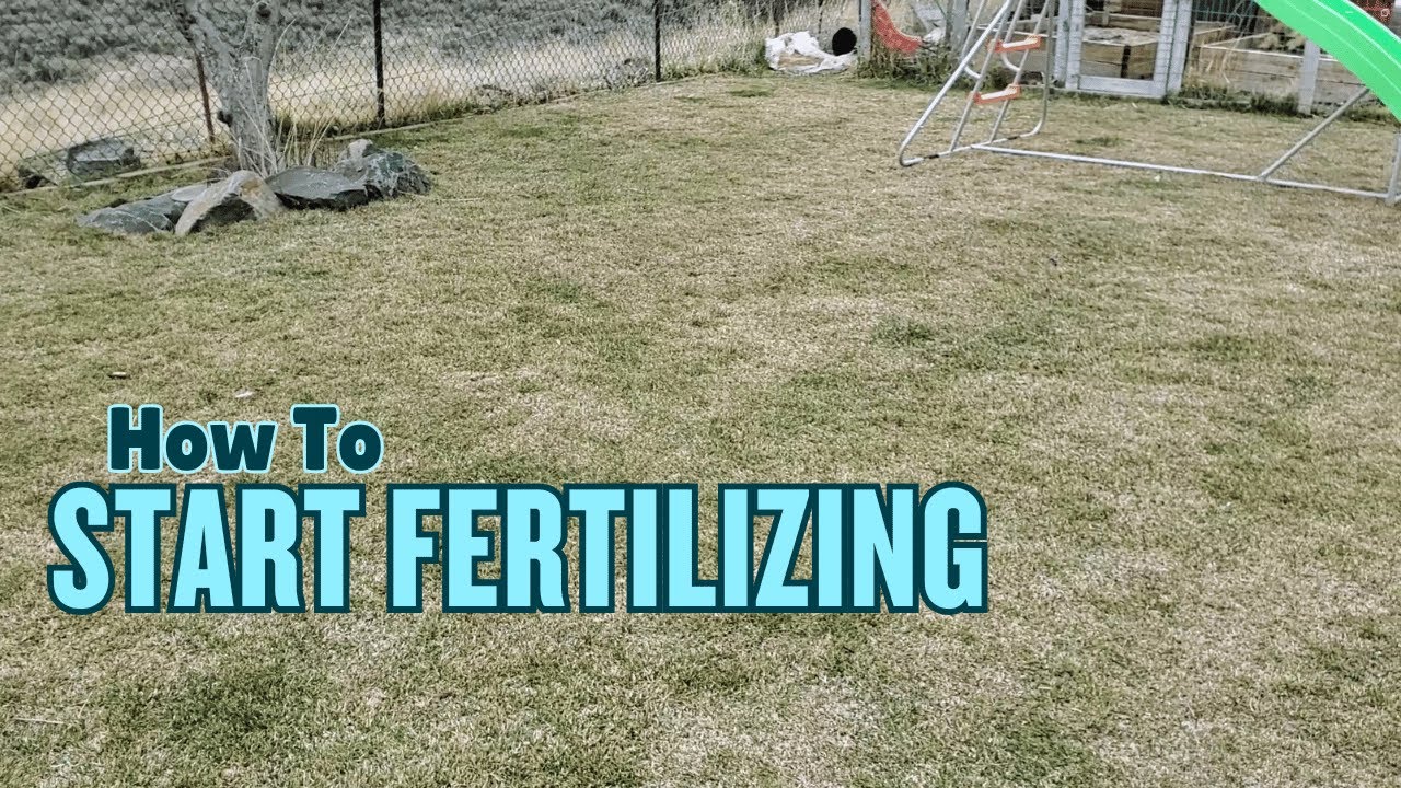 First Fertilizer Application Of The Year For The Lawn: When, What, How ...