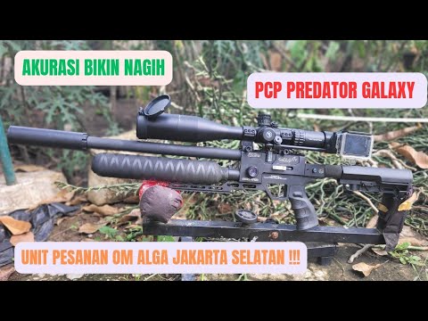 OM ALGA JAKARTA SELATAN!!! TES PCP PREDATOR BOGEL GALAXY SEBELUM ...